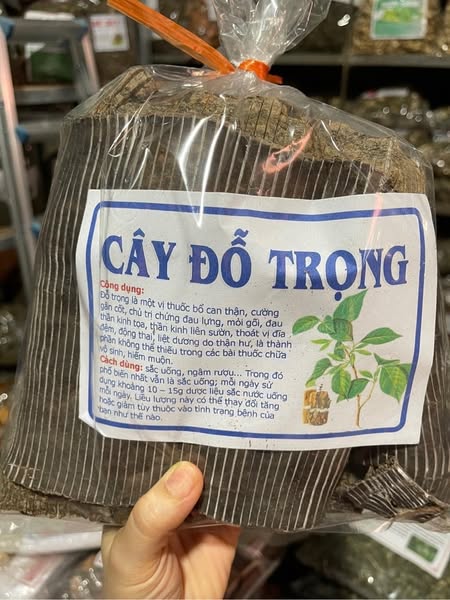 Công Dụng Của Cây Đỗ Trọng Và Cách Dùng - đồ ngâm rượu