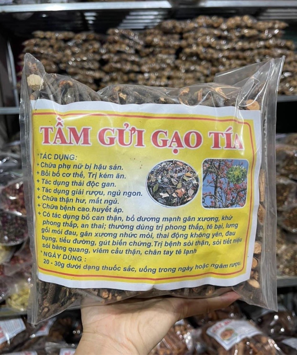 Công Dụng Cây Tầm Gửi Gạo Tía Và Cách Dùng - Dược Liệu